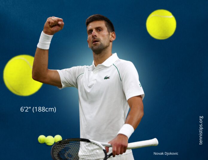 How Tall Are Tennis Players? Average Heights